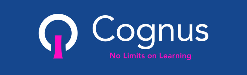 DSL Supervision Survey Evaluation (2021-2022) – Cognus